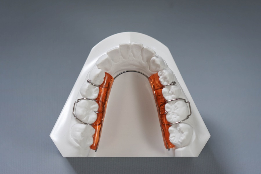 16)Molar Expansion plate-Lower1 – STAALAB