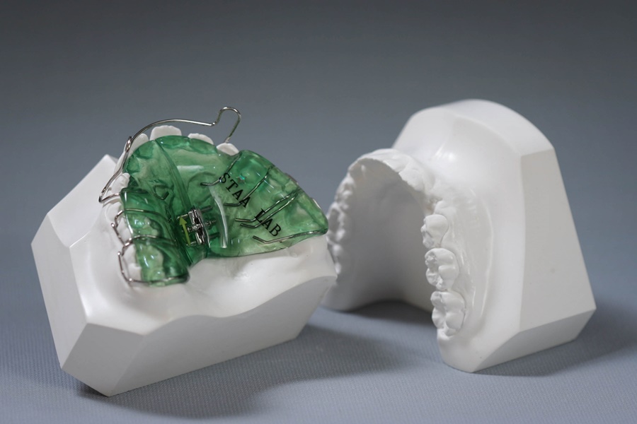17)Upper Schwarz with Inverted Labial Bow4 – STAALAB