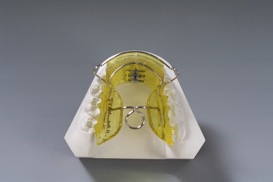 Wtizig bionator – STAALAB